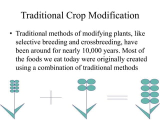 Plant Genetic engineering ,Basic steps ,Advantages and disadvantages | PPTX