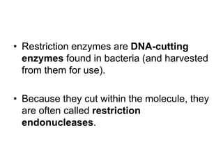 genetic_engineering.ppt