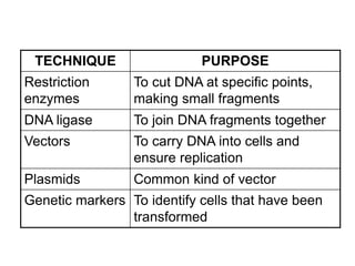 genetic_engineering.ppt