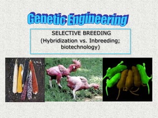 genetic engineering.ppt