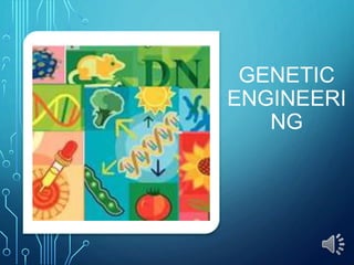 GENETIC ENGINEERING.pptx