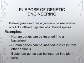 GENETIC ENGINEERING.pptx