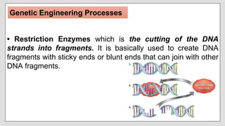 Genetic Engineering.pptx