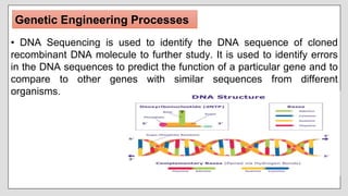 Genetic Engineering.pptx