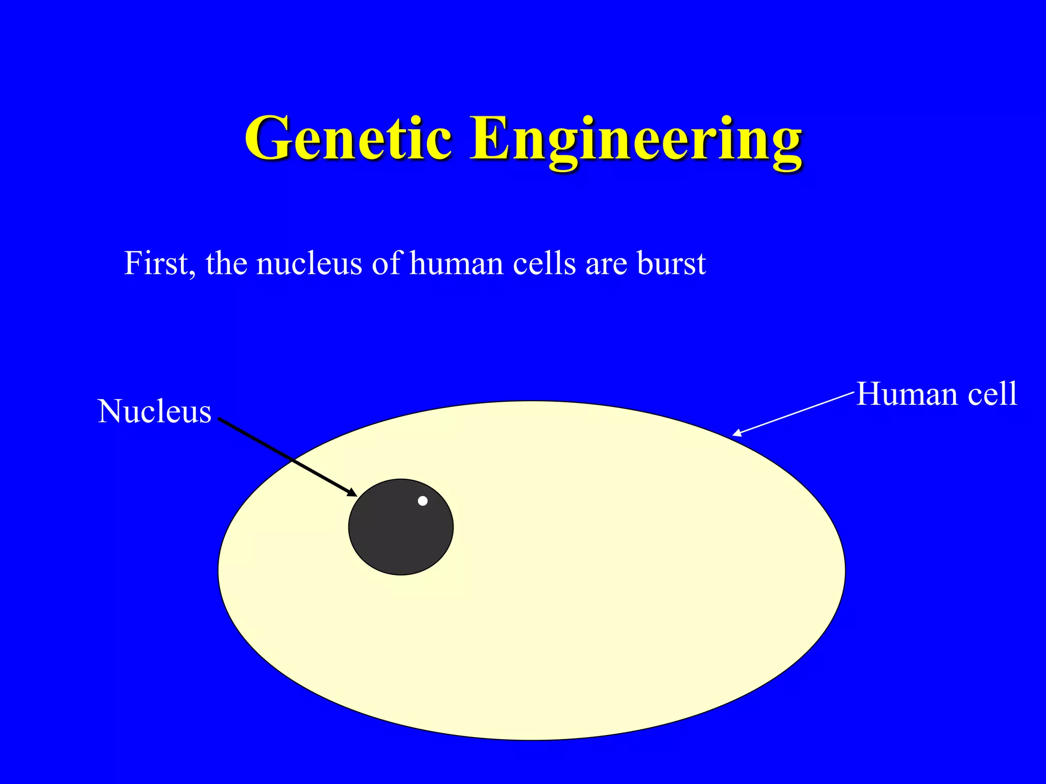Genetic Engineering.ppt