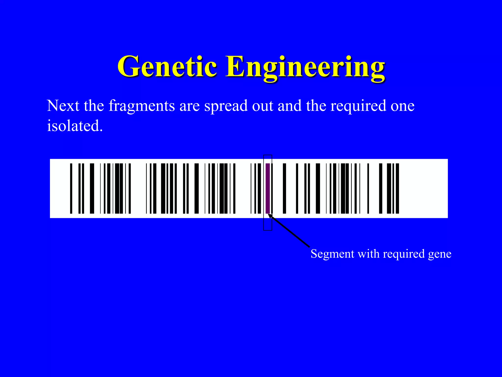 Genetic Engineering.ppt