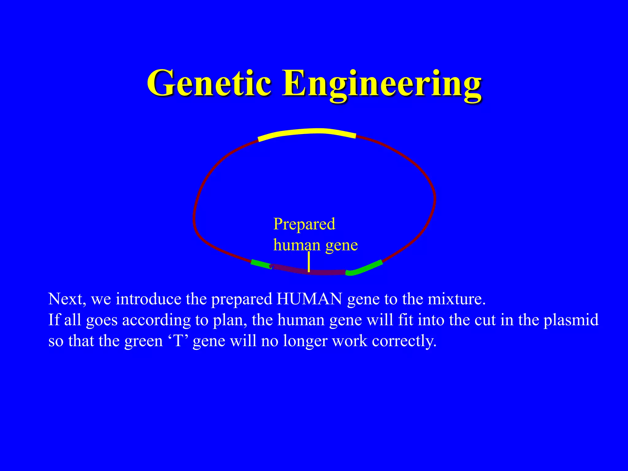 Genetic Engineering.ppt