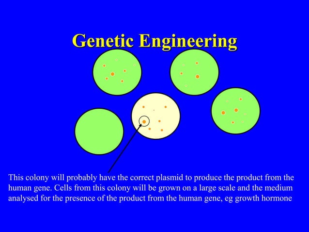 Genetic Engineering.ppt