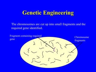 Genetic Engineering.ppt