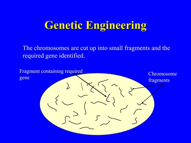 Genetic Engineering.ppt