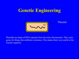 Genetic Engineering.ppt