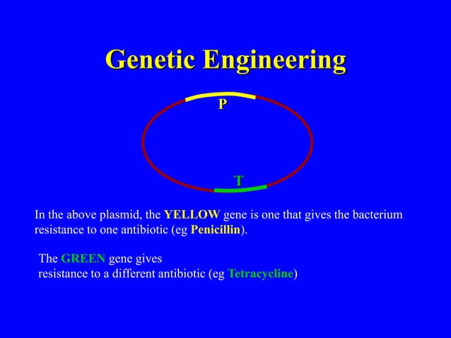 Genetic Engineering.ppt