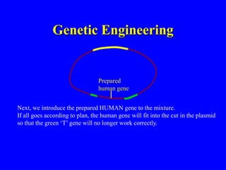 Genetic Engineering.ppt