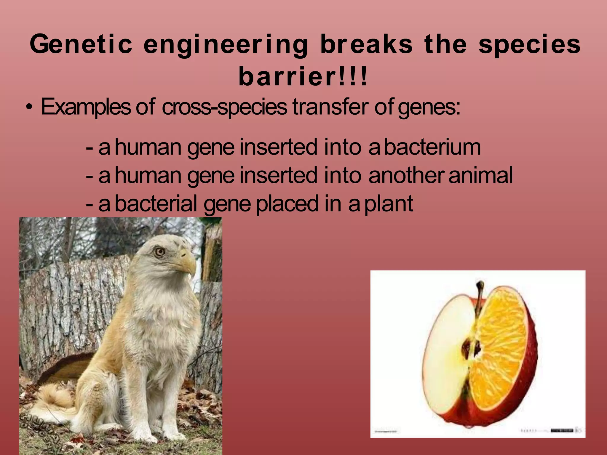 Genetic Engineering.pptx