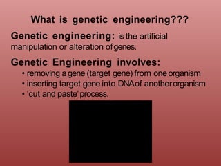 Genetic Engineering.pptx