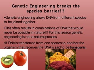 Genetic Engineering.pptx