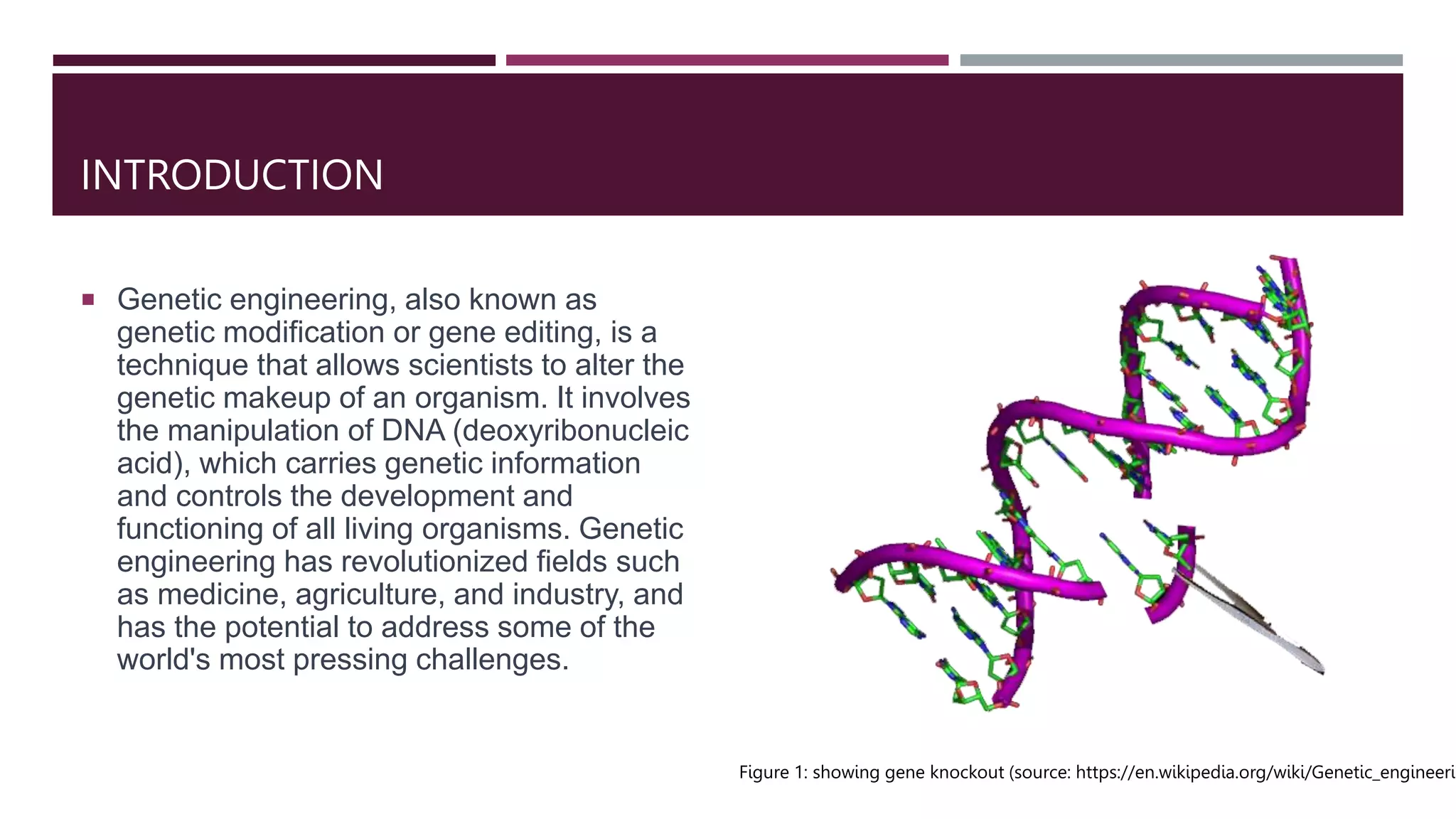 Genetic engineering.pptx