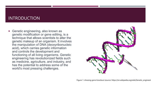 Genetic engineering.pptx