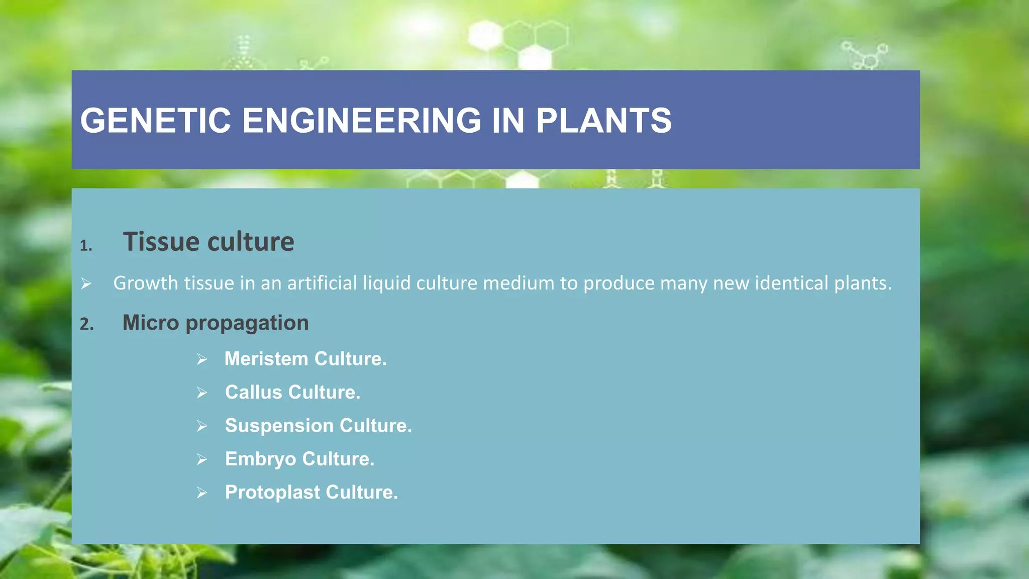 GENETIC ENGINEERING.pptx