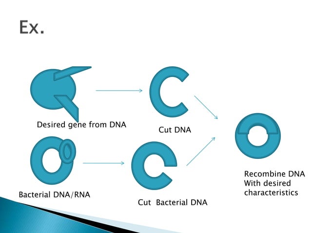 GENETIC ENGINEERING.pptx
