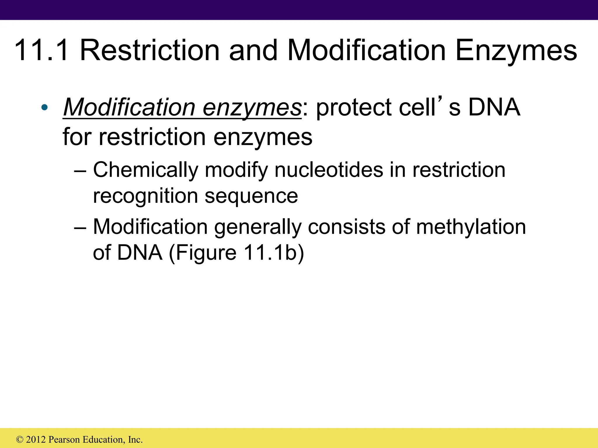 restrict engineering and modification of enzymes | PPT