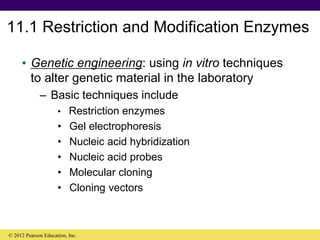 restrict engineering and modification of enzymes | PPT