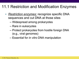 restrict engineering and modification of enzymes | PPT
