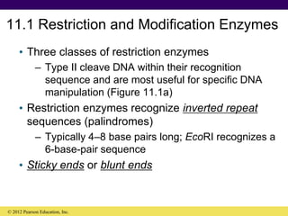 restrict engineering and modification of enzymes | PPT