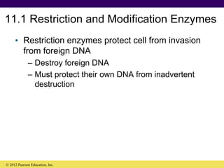restrict engineering and modification of enzymes | PPT