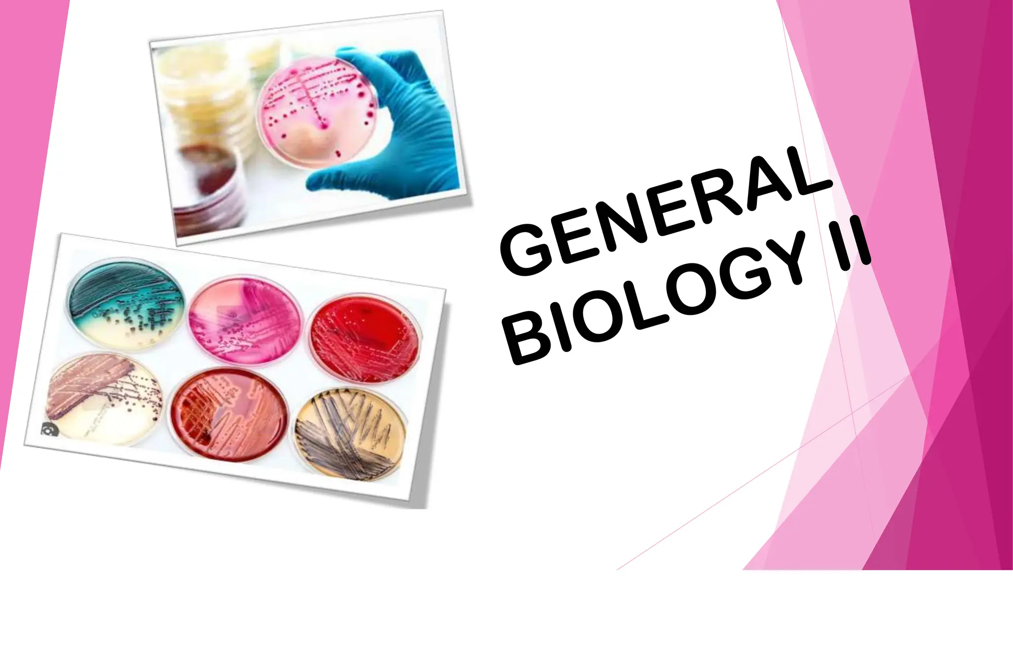 General Biology-Genetic Engineering.pptx
