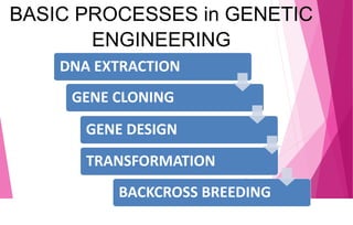 General Biology-Genetic Engineering.pptx