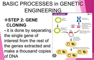 General Biology-Genetic Engineering.pptx
