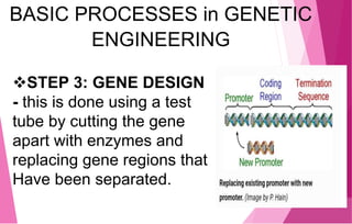 General Biology-Genetic Engineering.pptx