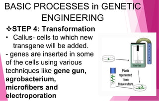 General Biology-Genetic Engineering.pptx
