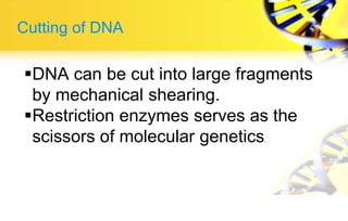 General Biology-Genetic Engineering.pptx
