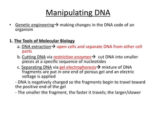 Genetic Engineering lab micro health ppt | PPT
