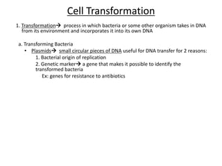 Genetic Engineering lab micro health ppt | PPT