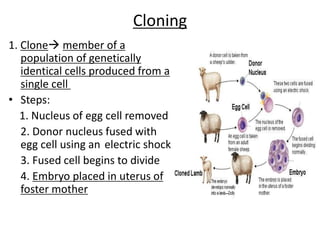Genetic Engineering lab micro health ppt | PPT