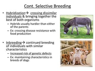 Genetic Engineering lab micro health ppt | PPT