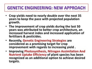 Genetic engineering in Crop-a new approach | PPTX | Agriculture ...
