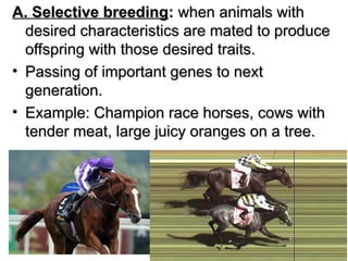 GENETIC ENGINEERING for STEM SHS Students.ppt