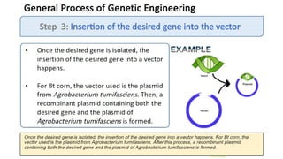 GENETIC ENGINEERING Powerpoint presentations from DOST STARBOOKS | PPT