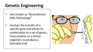 GENETIC ENGINEERING Powerpoint presentations from DOST STARBOOKS | PPT