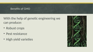 Genetic Engineering. PPT guide for senior high | PPT