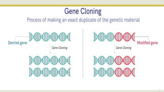 Genetic Engineering. PPT guide for senior high | PPT