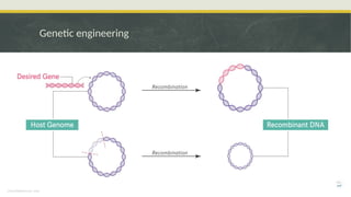 Genetic Engineering. PPT guide for senior high | PPT