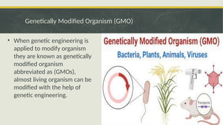 Genetic Engineering. PPT guide for senior high | PPT