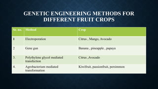 Genetic engineering used in horticulture (fruit science) | PPTX