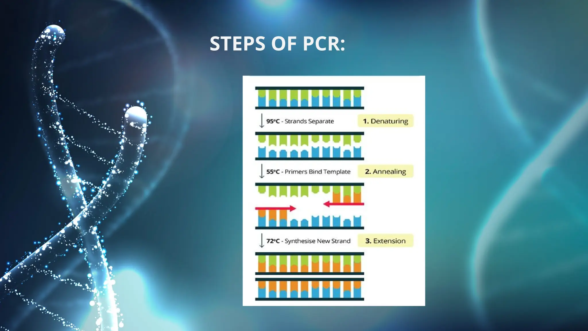 Genetic engineering .pptx