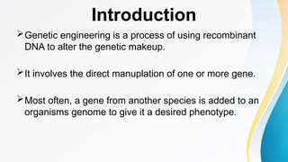 Genetic Engineering slides and presentation | PPTX